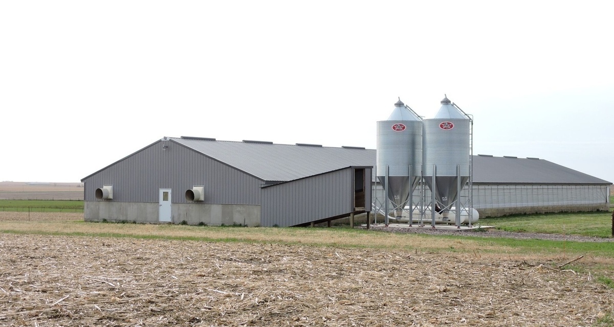 Hog Confinements | How-To Building Center | Sioux Center, Iowa