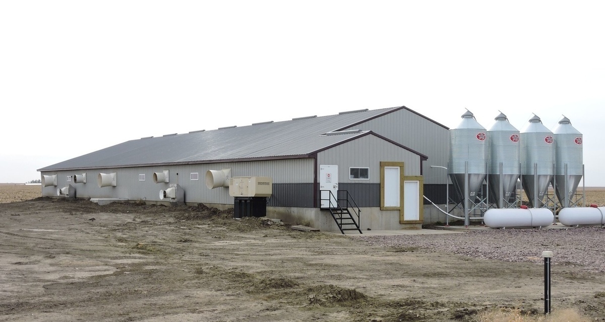Nursery | Hog Confinements | How-To Building Center