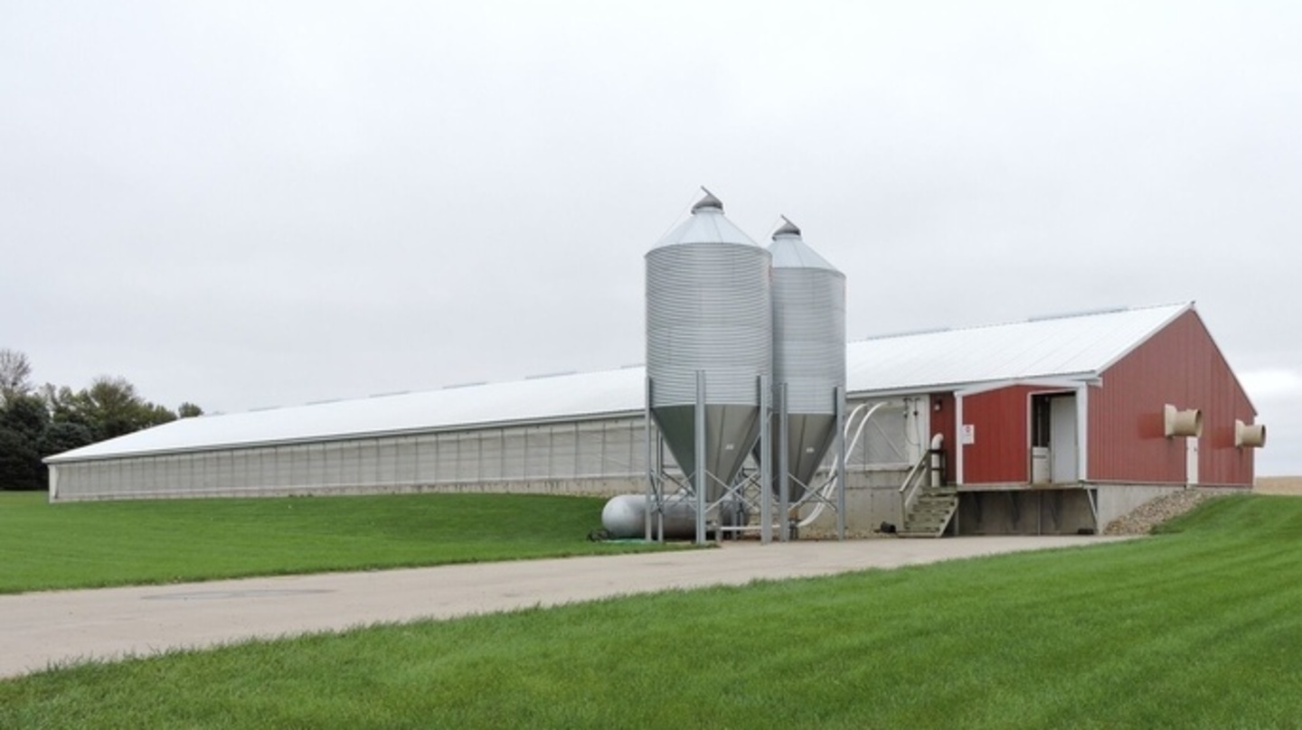 Natural Vent | Hog Confinements | How-To Building Center